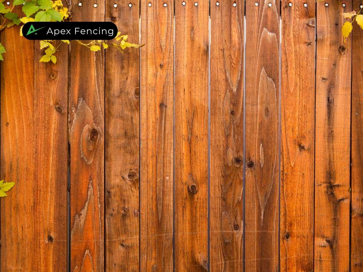 Custom Fence Design Ideas: Inspiration For Your Next Project