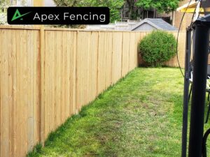 Which Fence Is Right For You? An Overview Of Common Types Of Fences